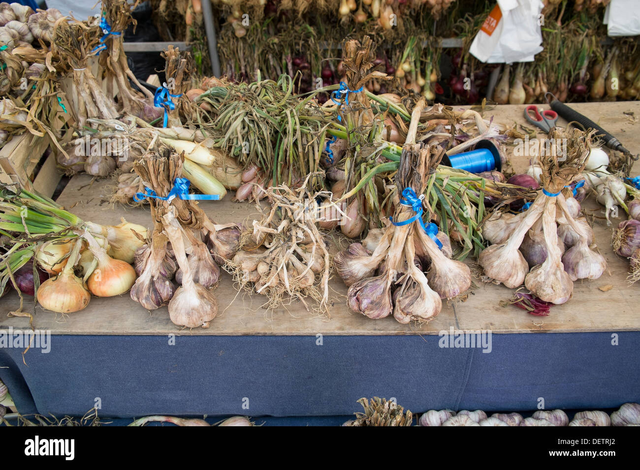 Onion display hi-res stock photography and images - Alamy