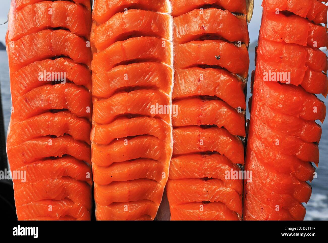 Arctic Char