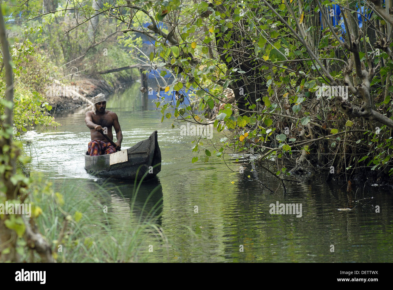 Human ecosystem hi-res stock photography and images - Alamy
