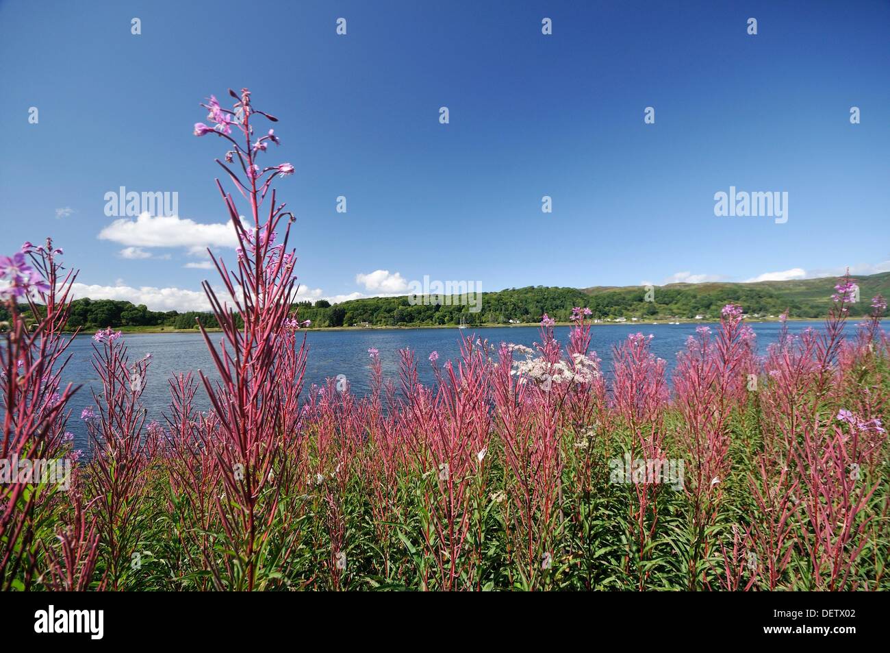Kilninver hi-res stock photography and images - Alamy