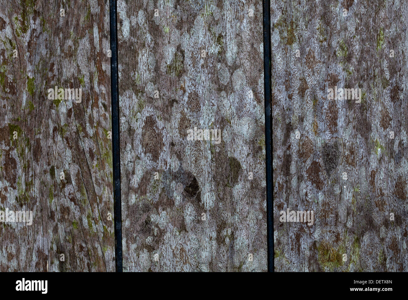 wood texture color shape volume line contrast background useful ...