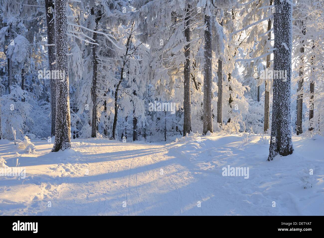Großer inselsberg hi-res stock photography and images - Alamy