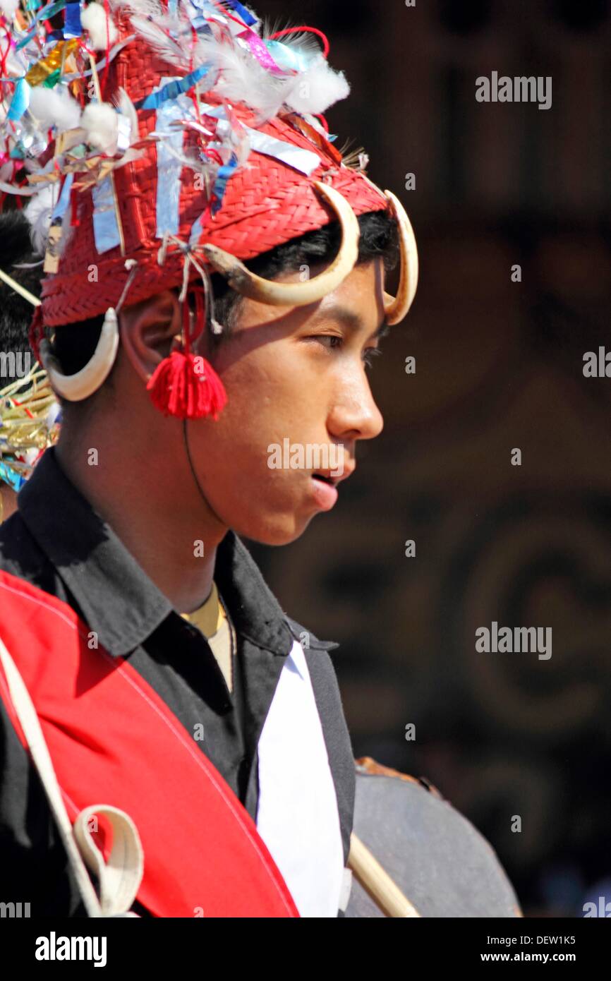 Gong gong snake hi-res stock photography and images - Alamy