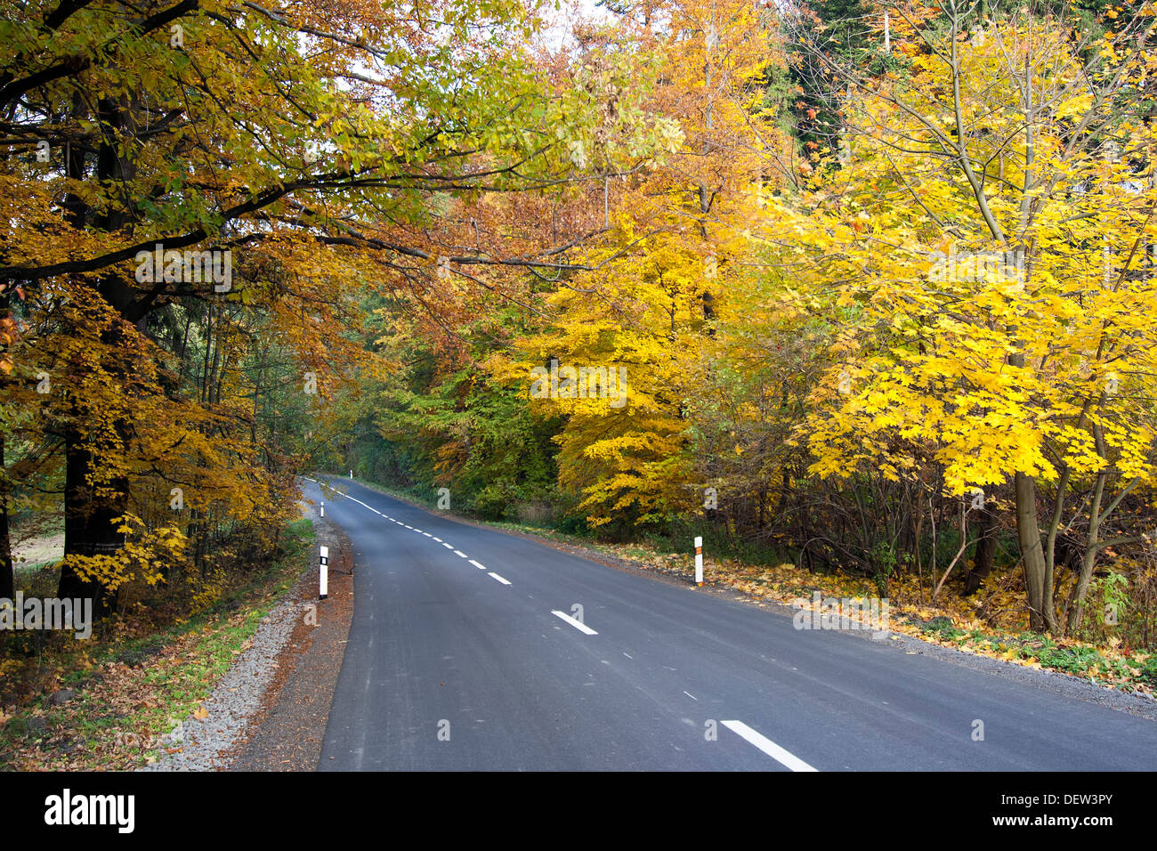 Empty road with fall color hi-res stock photography and images - Alamy