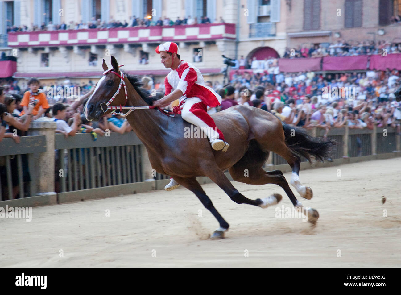contrada of the giraffe, palio of siena, siena, tuscany, italy, europe ...