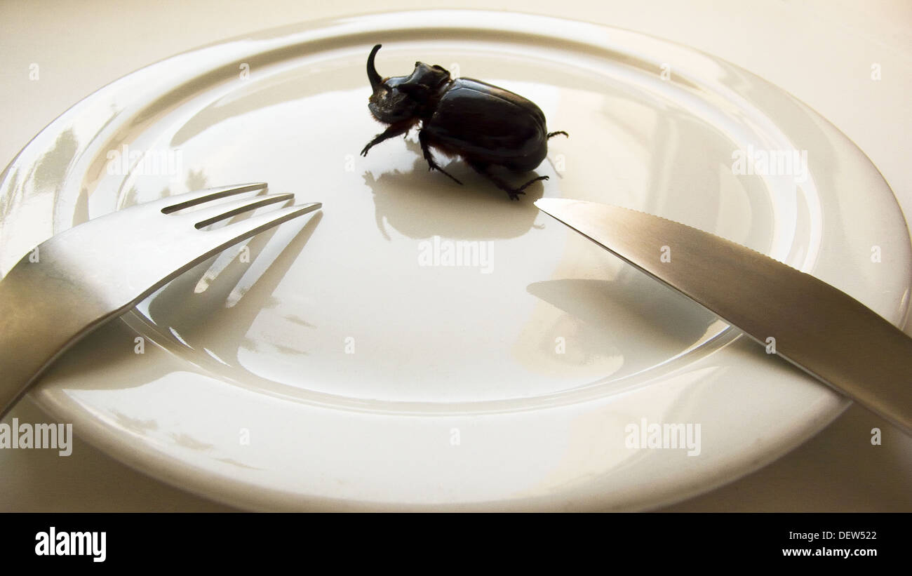 Food repulsion hi-res stock photography and images - Alamy