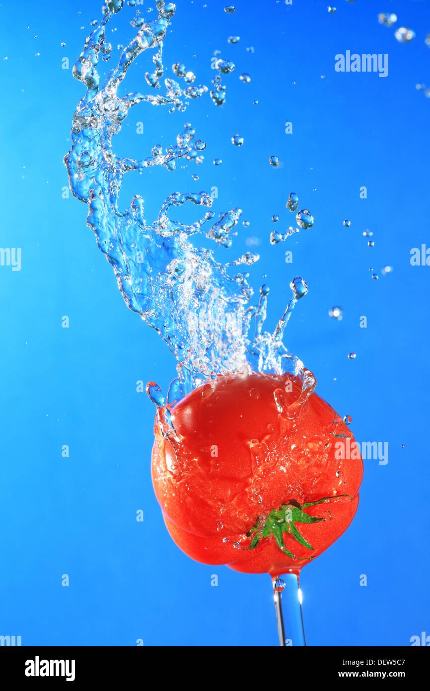 Tomata hi-res stock photography and images - Alamy