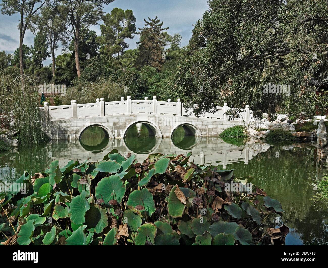 Huntington library and botanical garden hi-res stock photography and ...