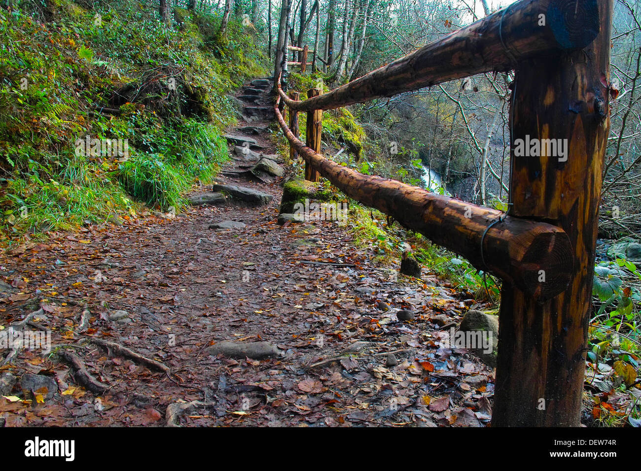 Clonaslee hi-res stock photography and images - Alamy