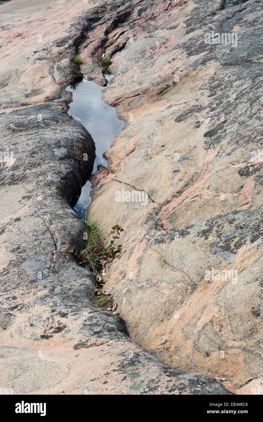 Pool with rainwater hi-res stock photography and images - Alamy