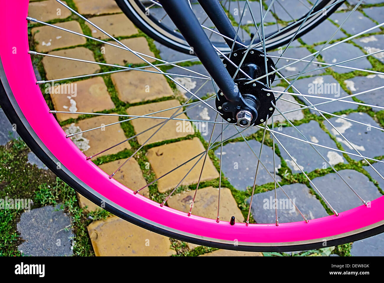 Front bike wheels hi-res stock photography and images - Alamy