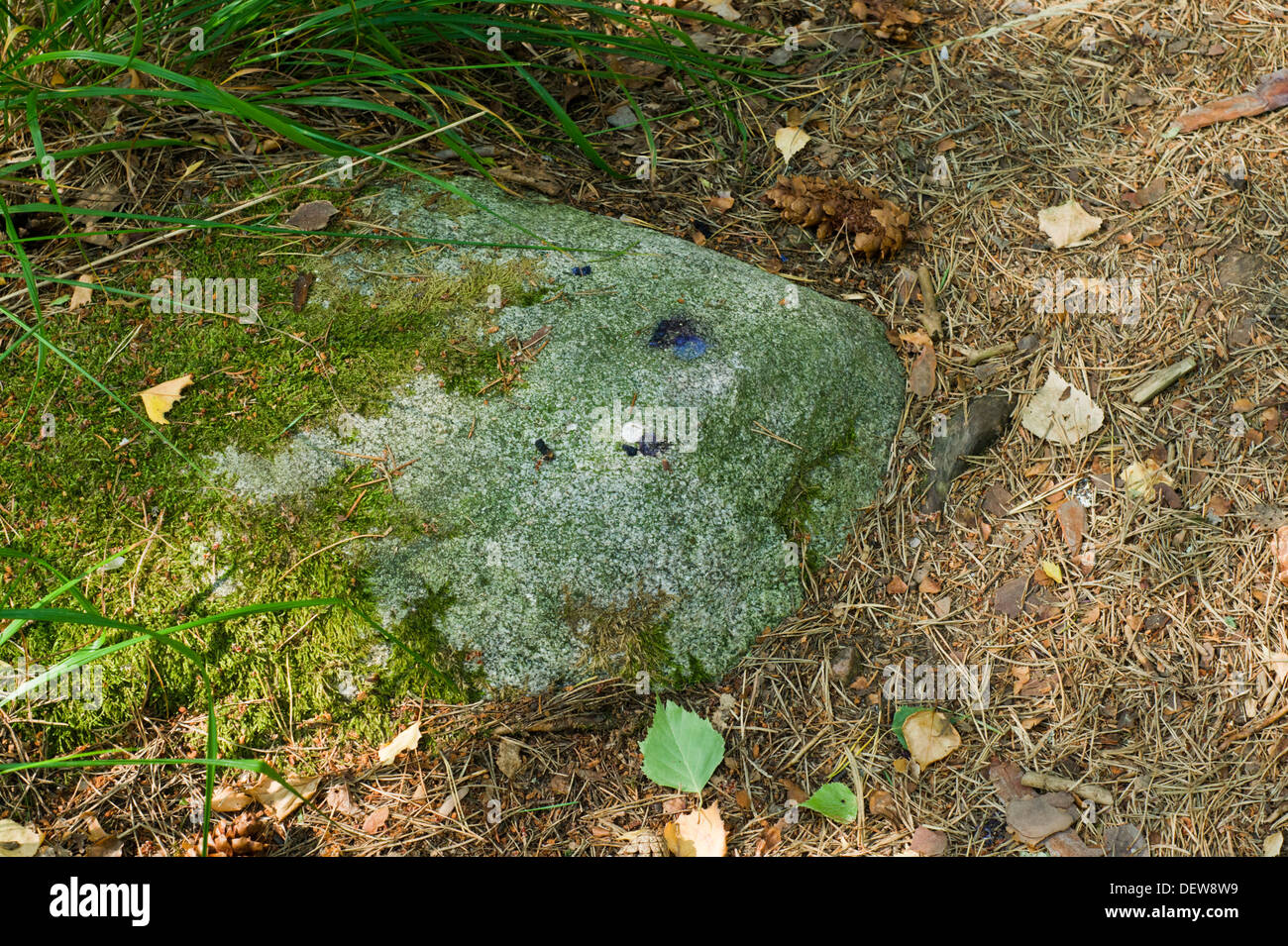 Granite rock purple bird droppings hi-res stock photography and images ...