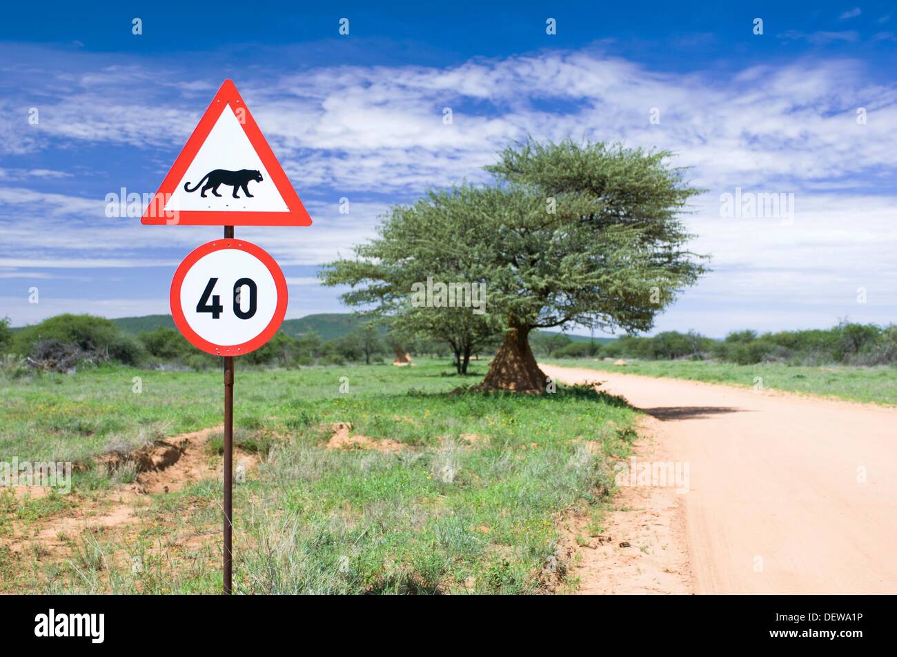 Leopard road sign hi-res stock photography and images - Alamy
