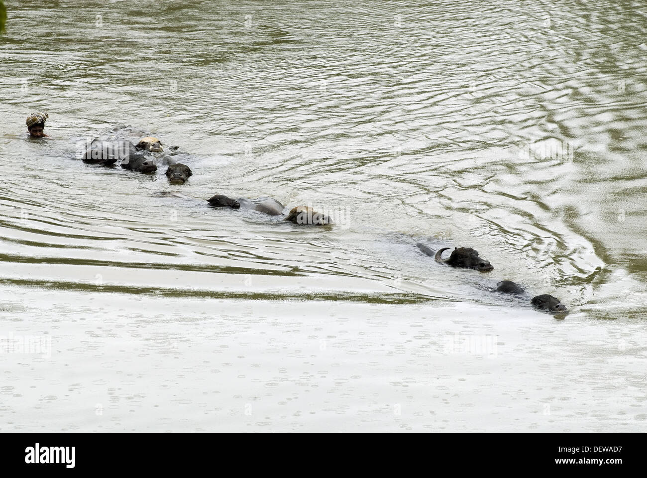 Pamba hi-res stock photography and images - Alamy