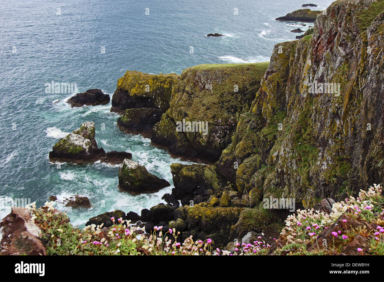 Surf borders hi-res stock photography and images - Alamy
