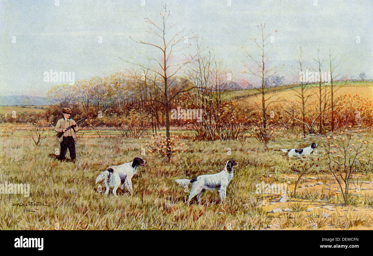 Bird hunter with his setters in the field, circa 1900. Color lithograph ...