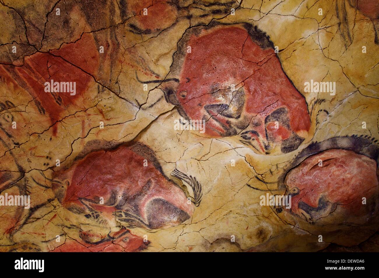 Altamira Bisons Detail