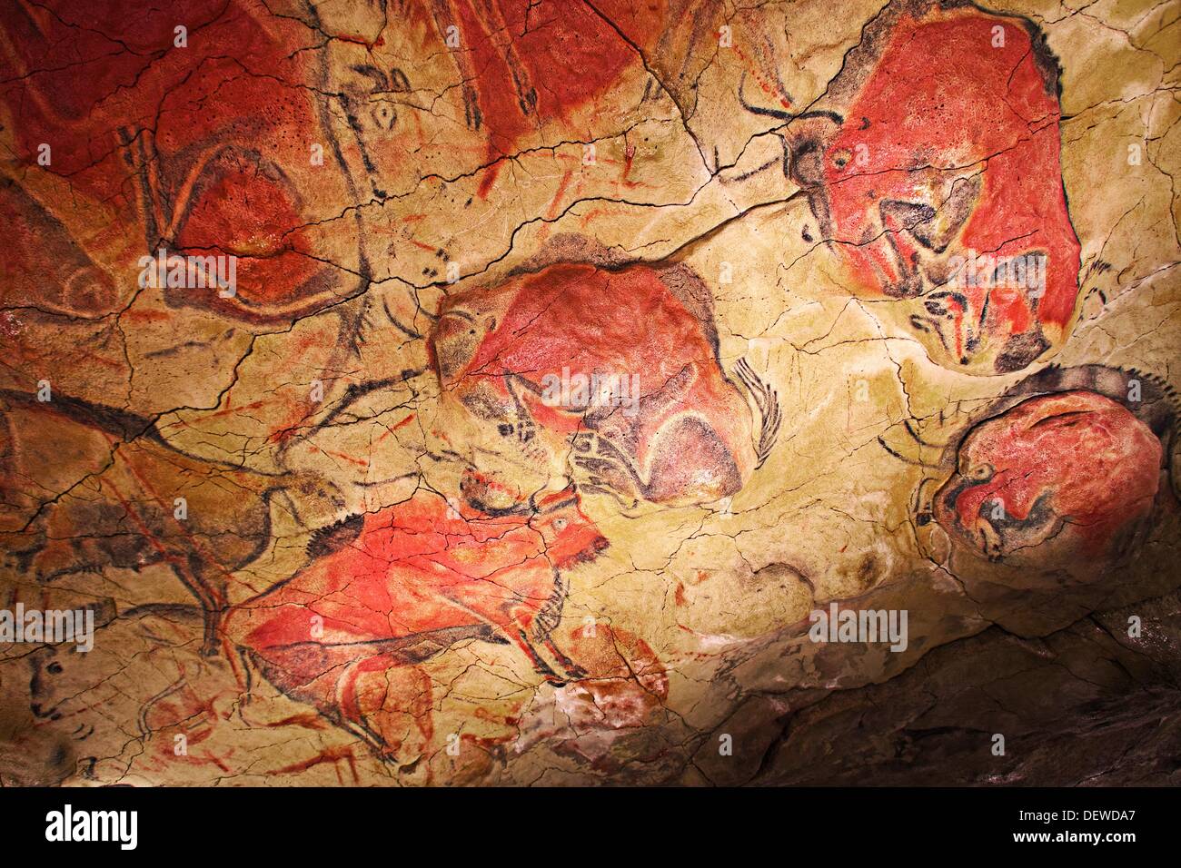 Altamira Bison High Resolution Stock Photography and Images - Alamy