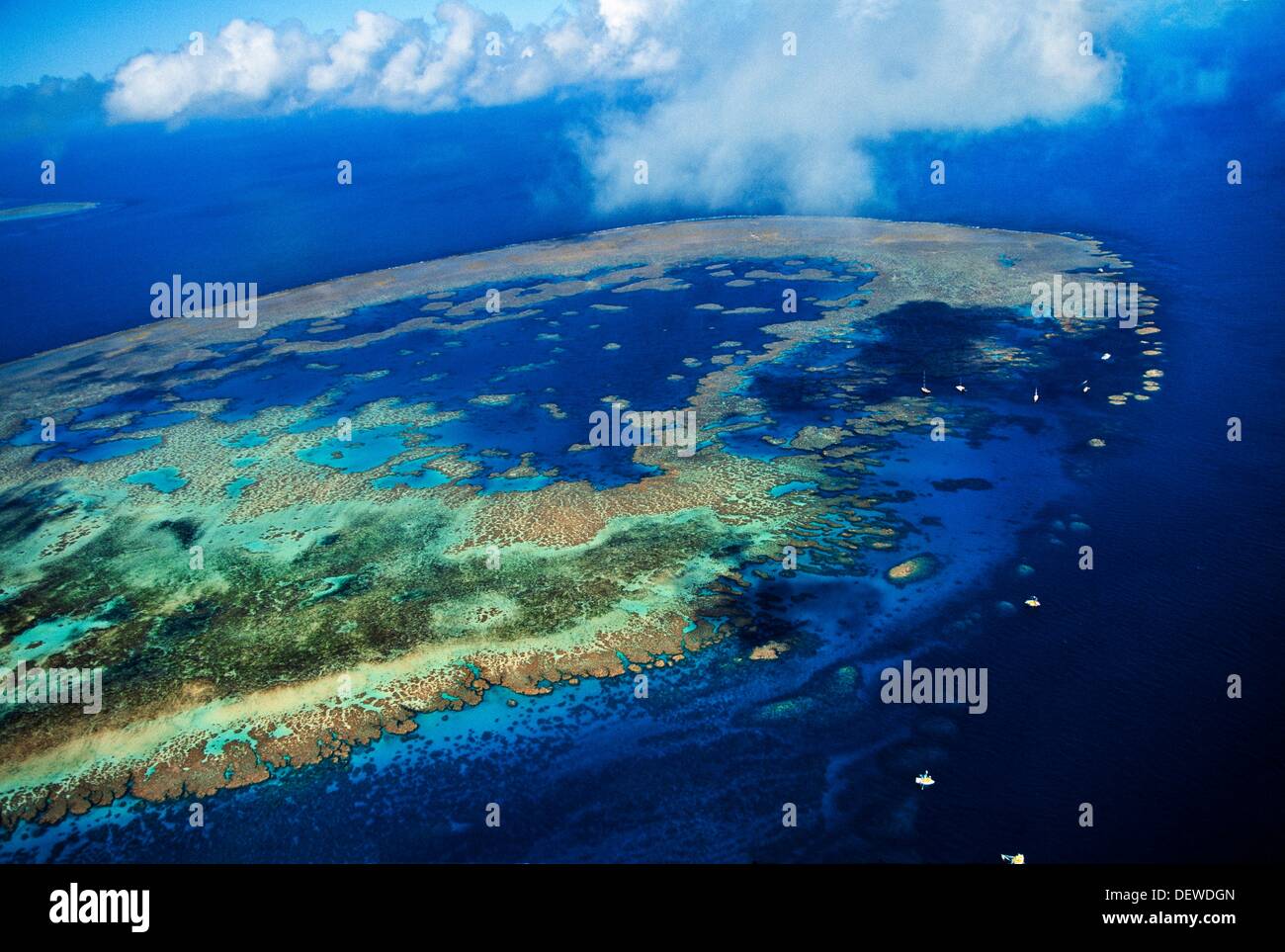 Bait reef queensland hi-res stock photography and images - Alamy