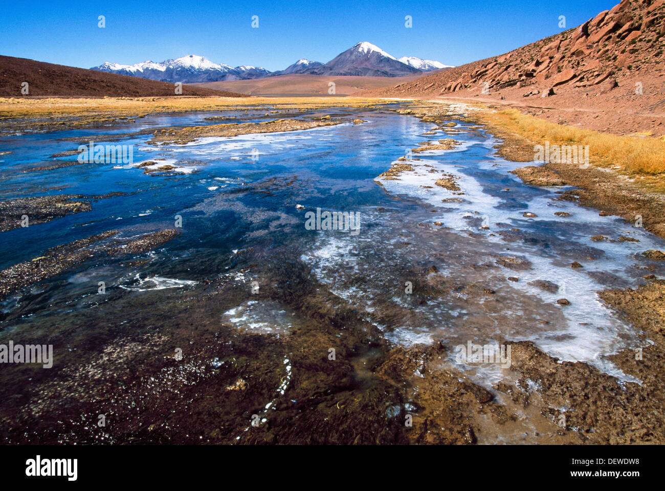 Putana High Resolution Stock Photography and Images - Alamy