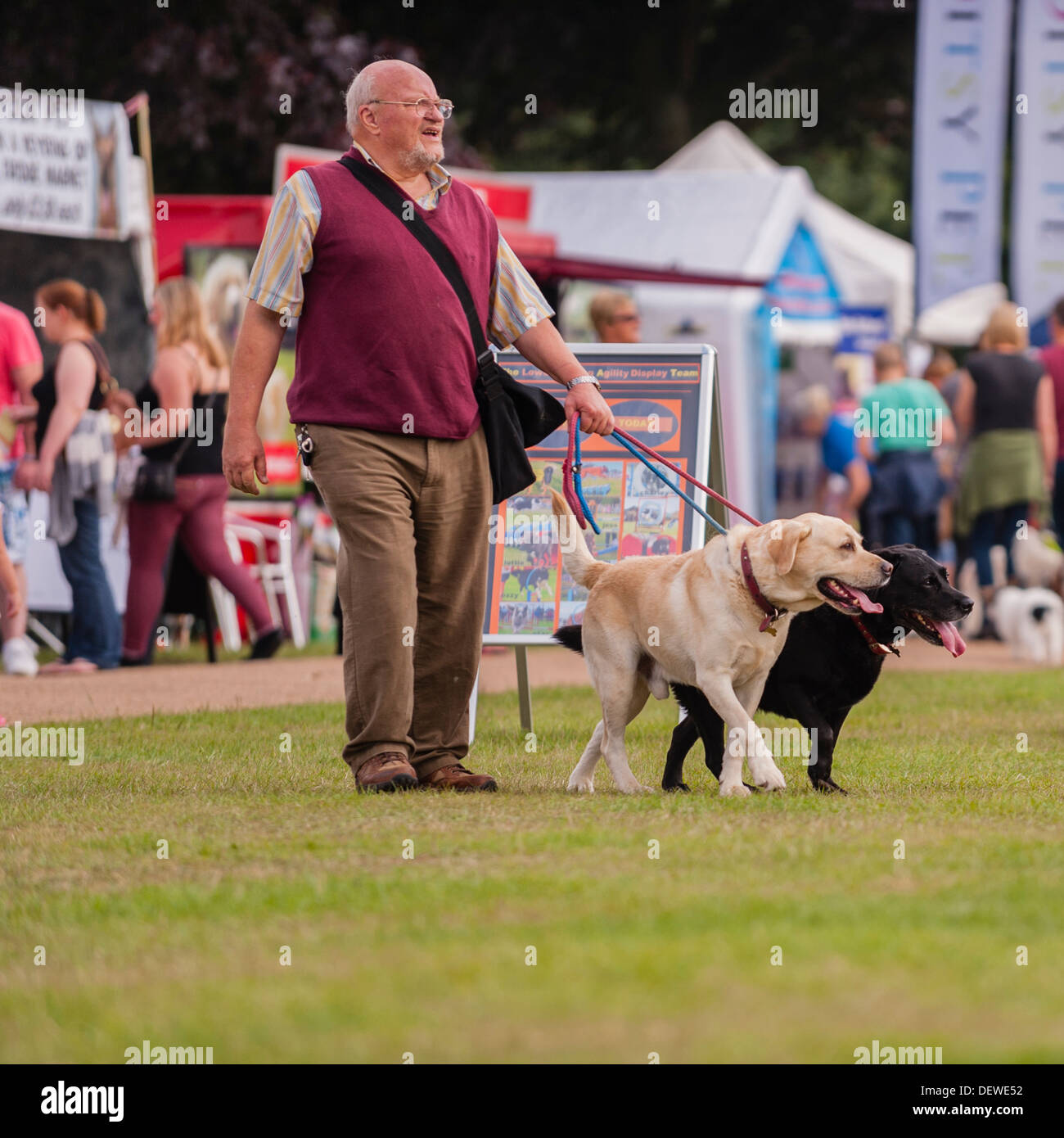 A man with his 2 dogs at The All About Dogs Show at the Norfolk ...