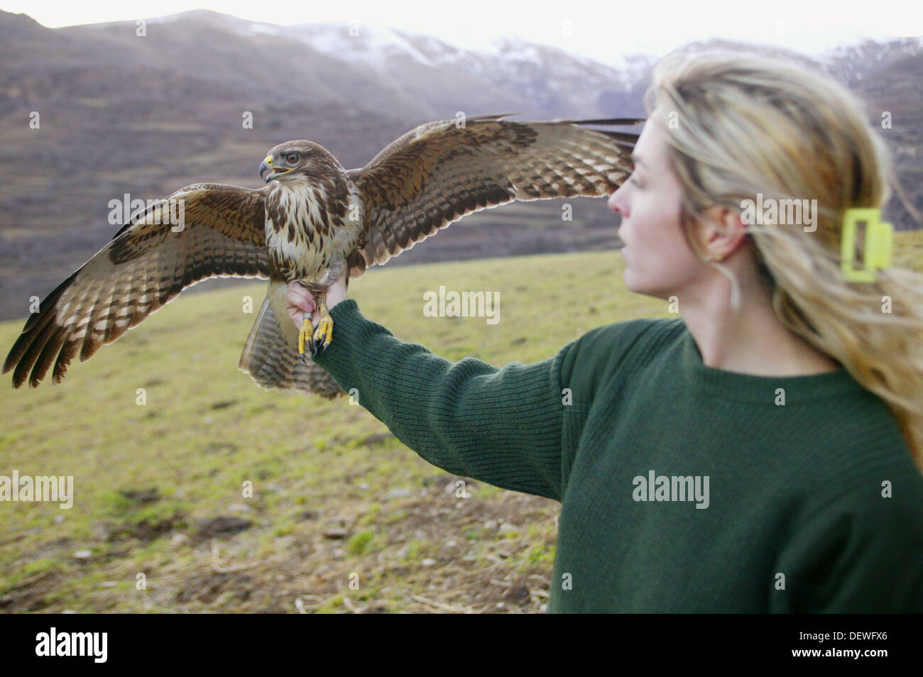 Woman releasing bird hi-res stock photography and images - Alamy