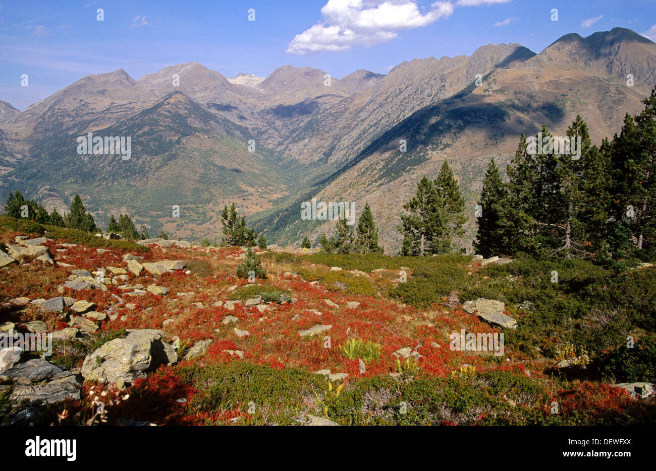 Tavascan hi-res stock photography and images - Alamy