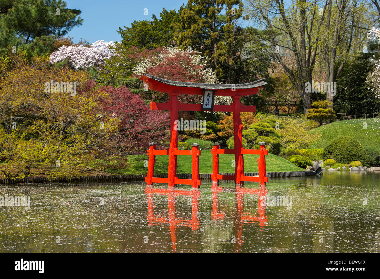 CHERRY BLOSSOMS TORII GATE JAPANESE GARDEN BROOKLYN BOTANICAL GARDEN ...