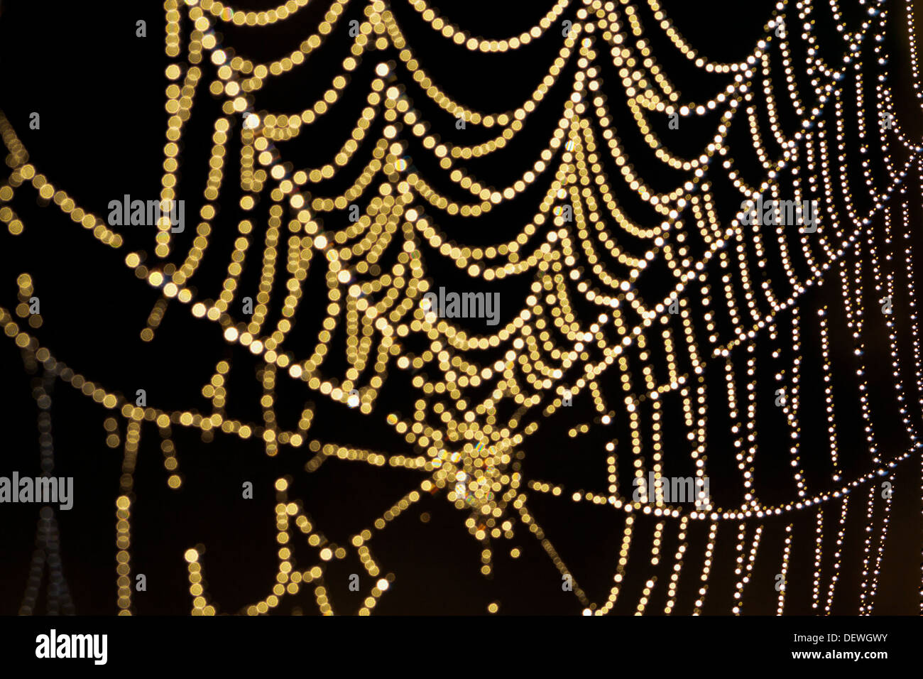 abstract background from a web shine in the sun Stock Photo - Alamy