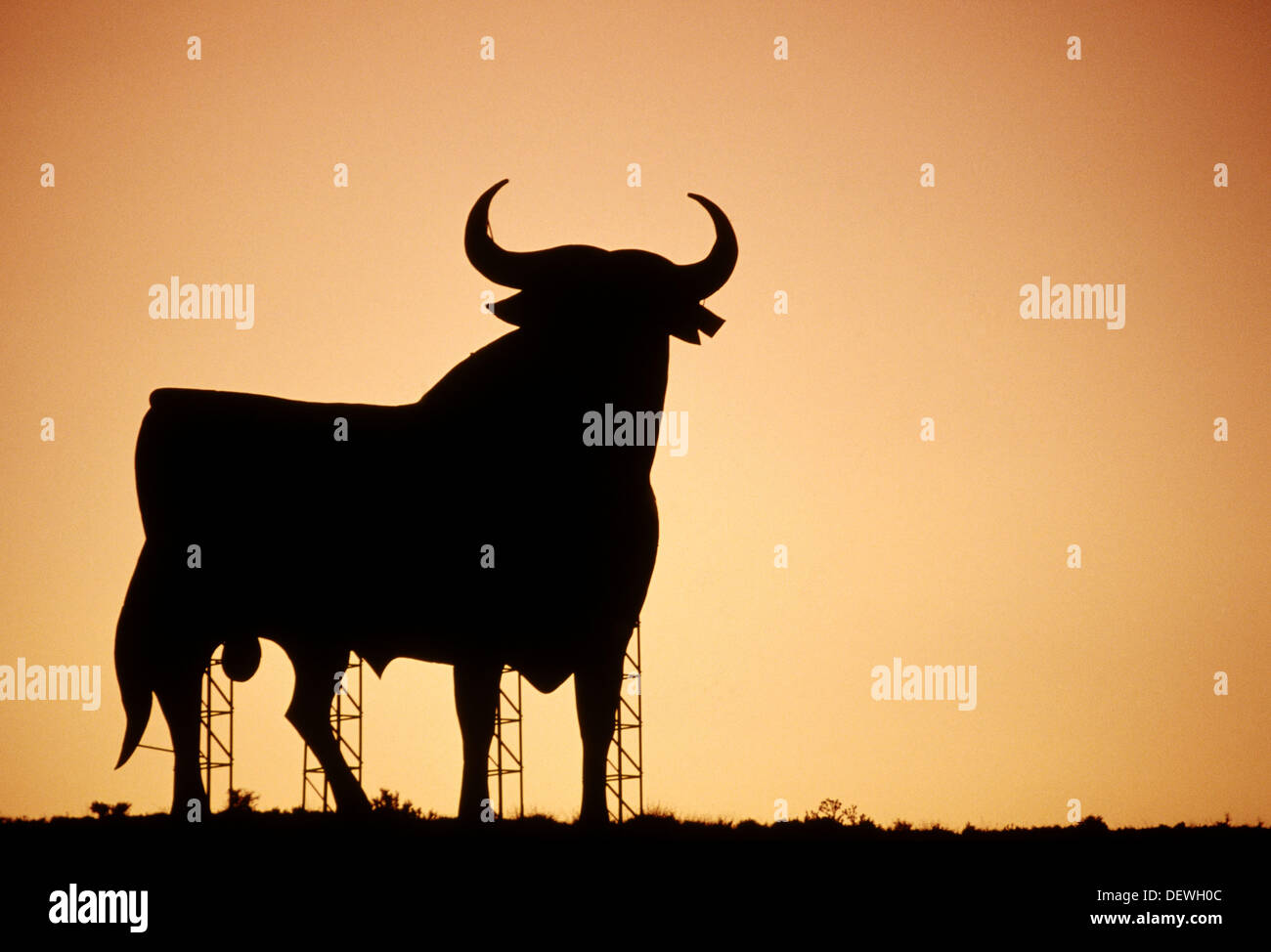 Bull silhouette typical advertising spanish hi-res stock photography ...