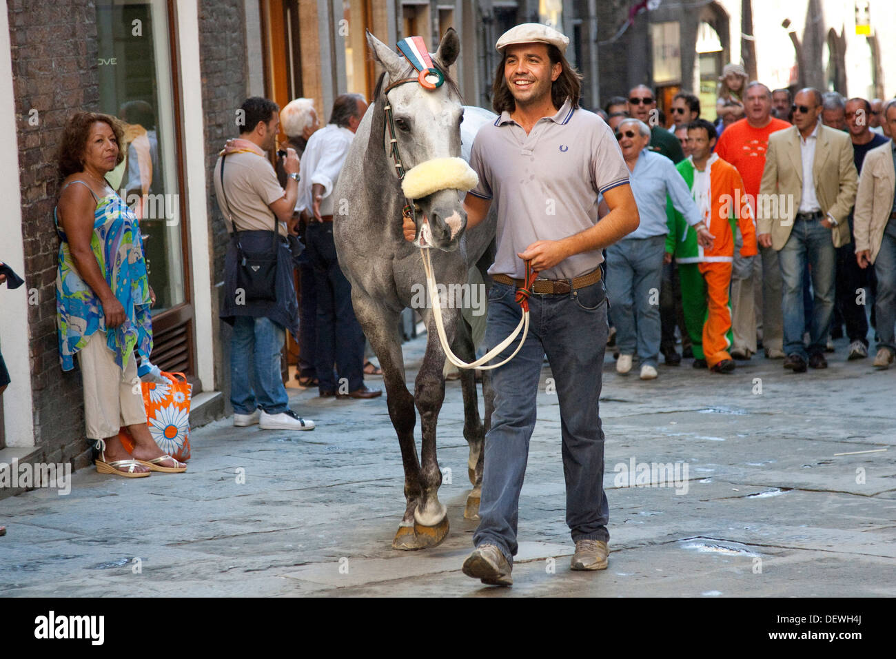 contrada of the woods, palio of siena, siena, tuscany, italy, europe ...