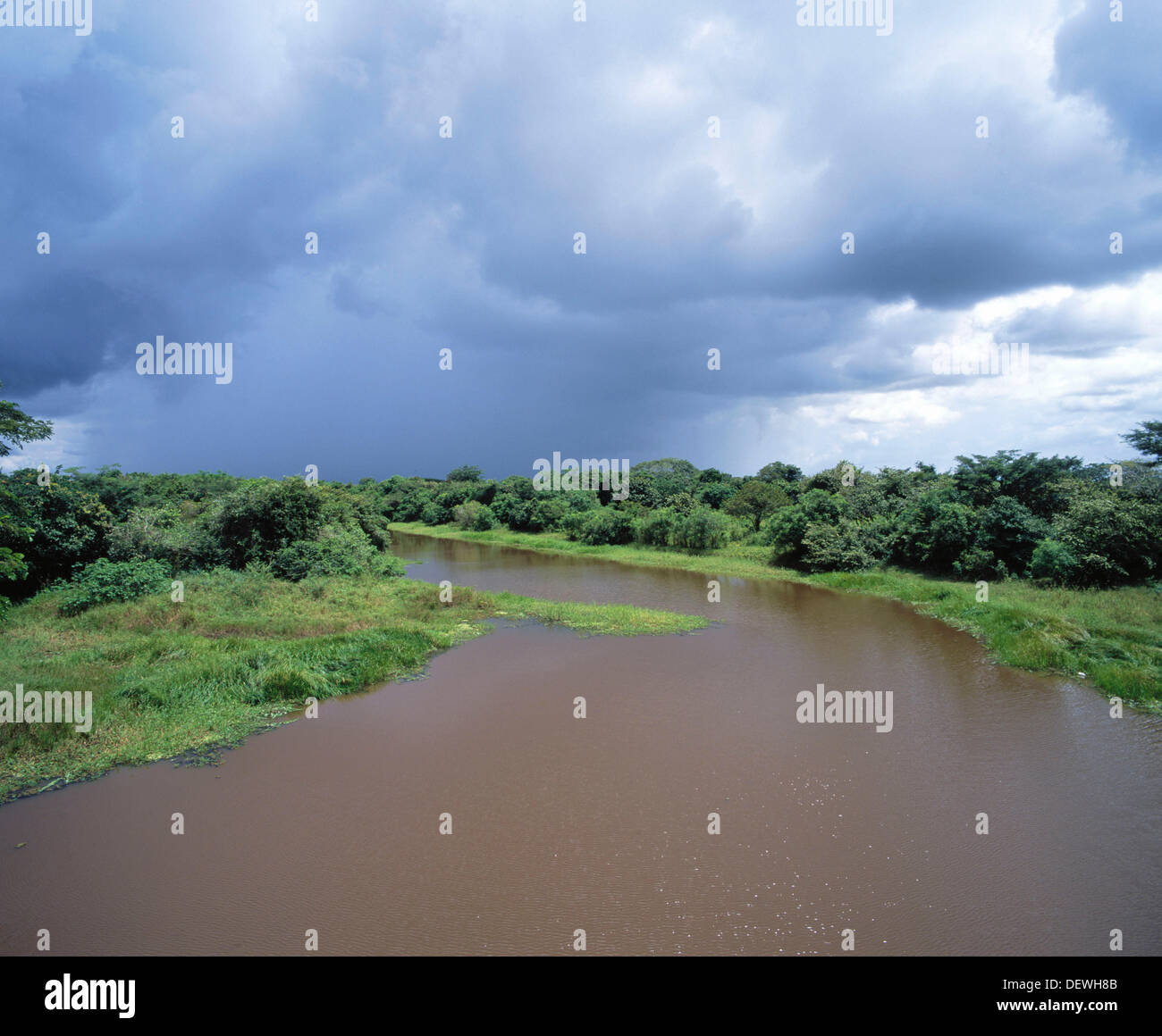 Llanos apure venezuela hi-res stock photography and images - Alamy