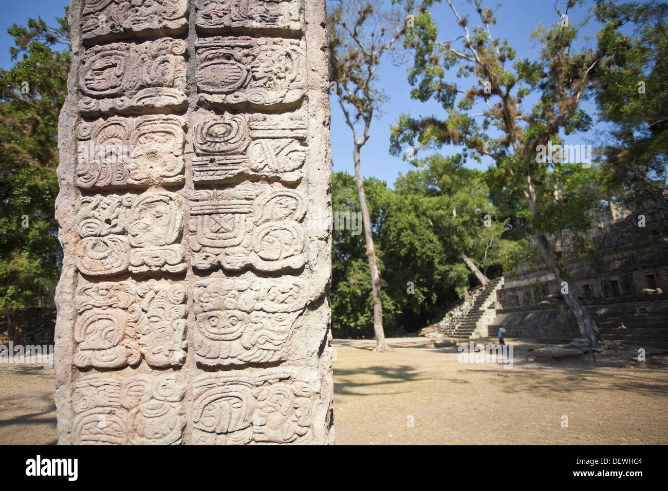 Honduras copan stele maya culture hi-res stock photography and images ...