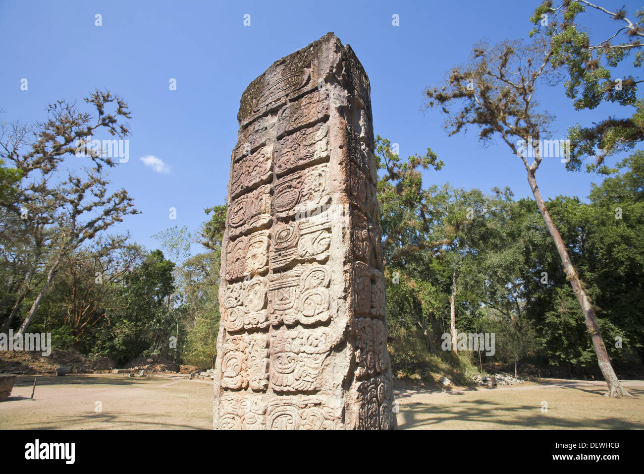 Honduras Copan Stele Maya Culture High Resolution Stock Photography and ...