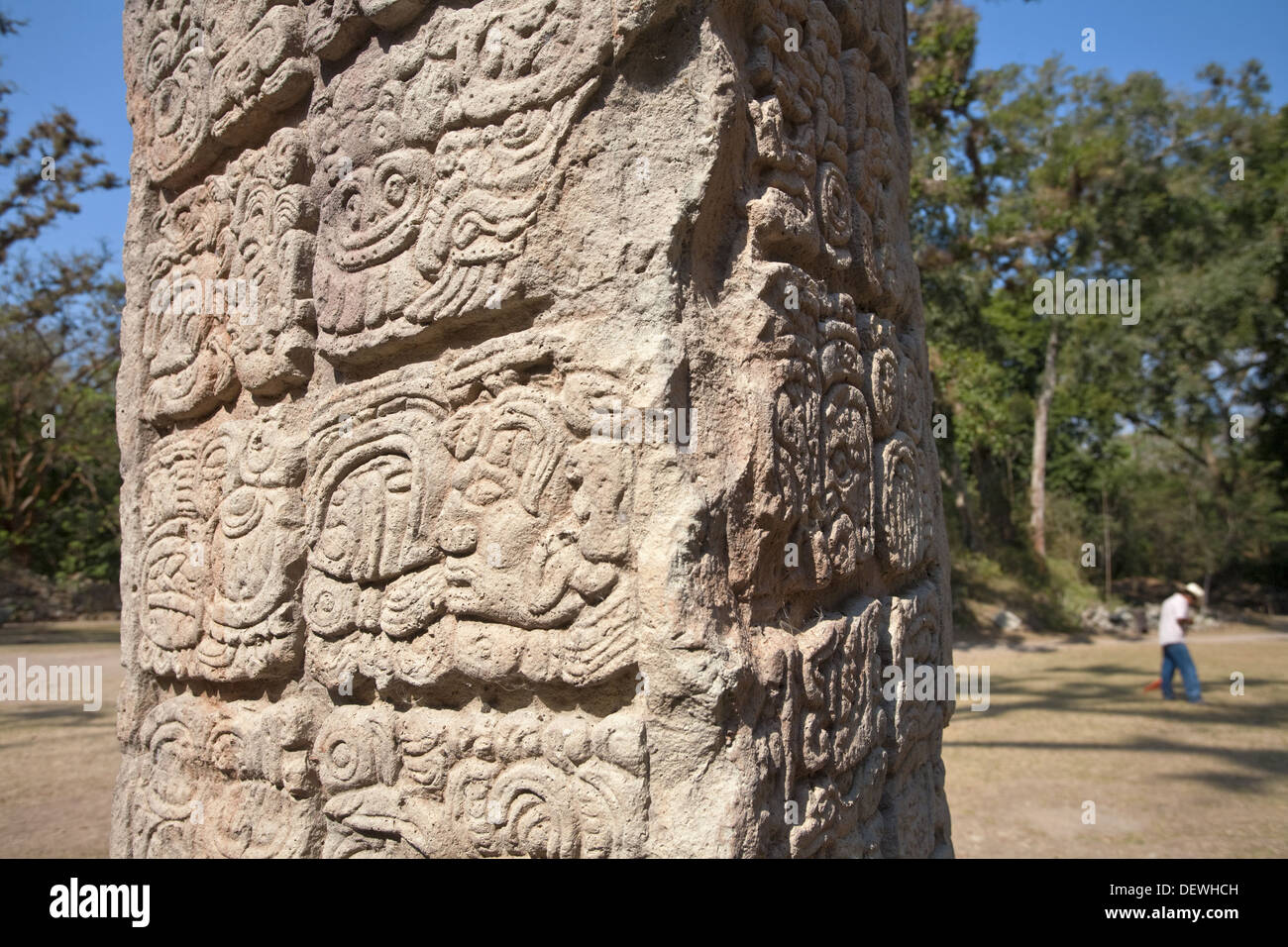 Honduras Copan Stele Maya Culture High Resolution Stock Photography and ...