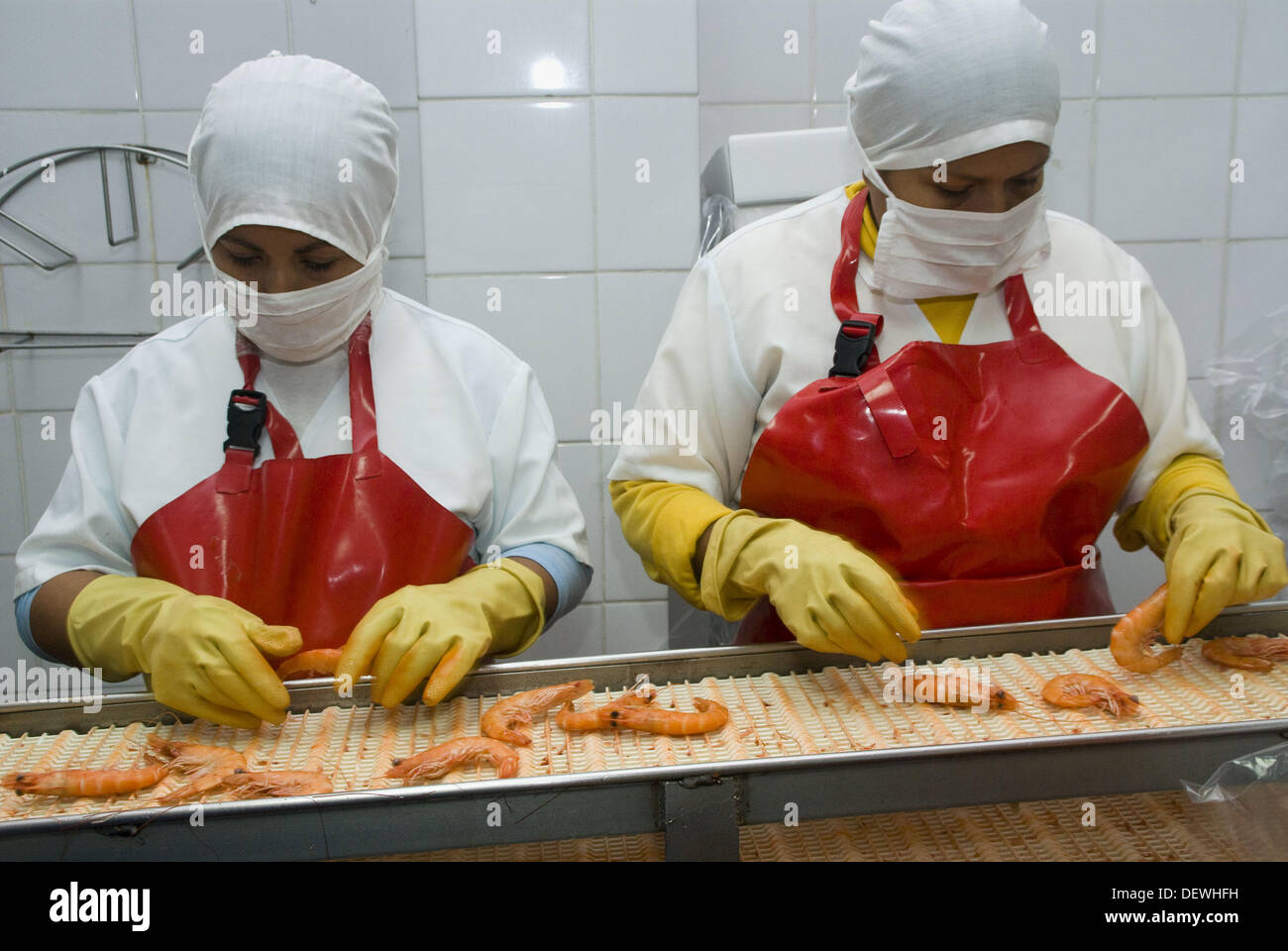 Guayaquil Ecuador Shrimp High Resolution Stock Photography and Images ...