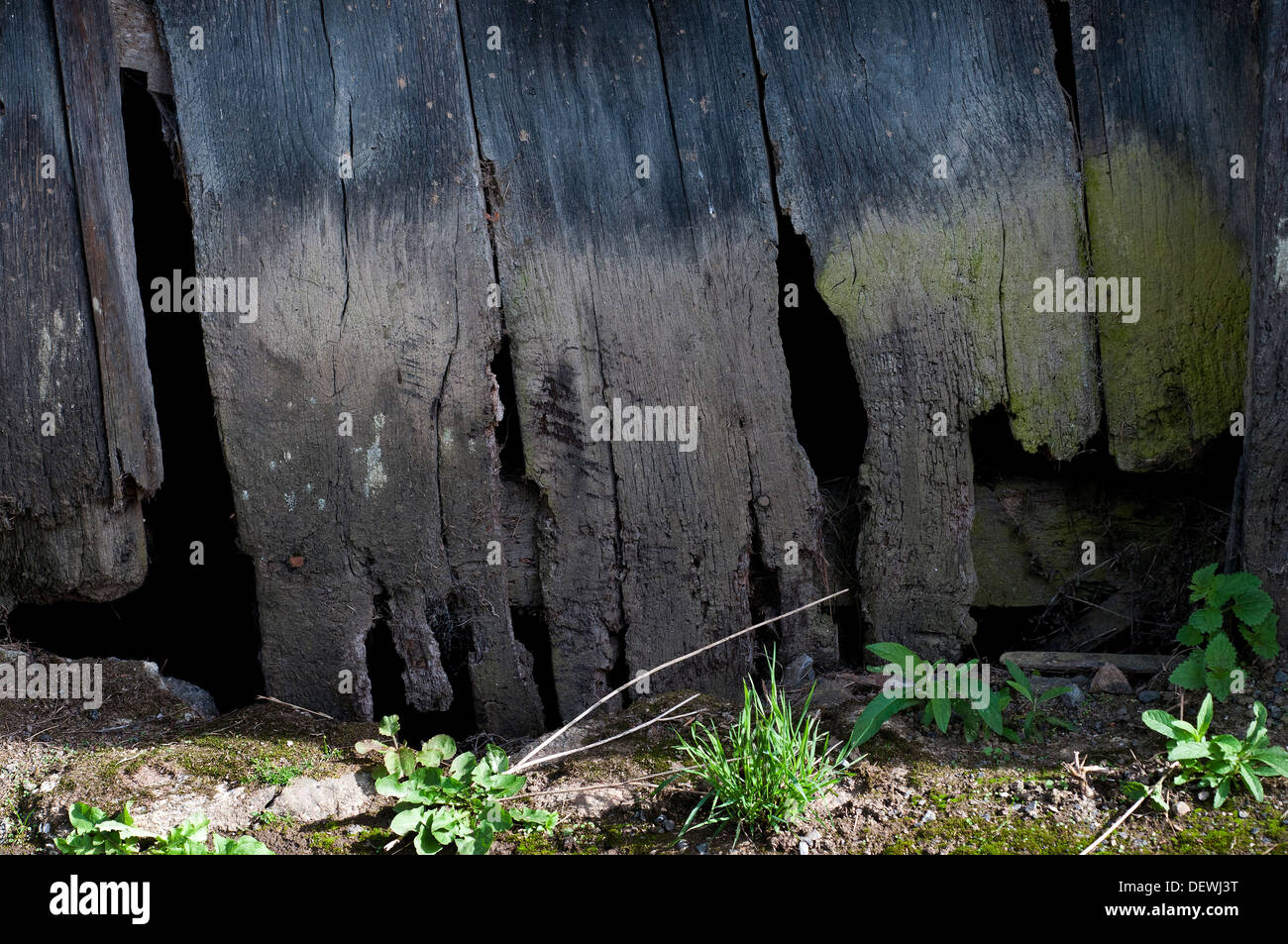devon cob barn Stock Photo - Alamy