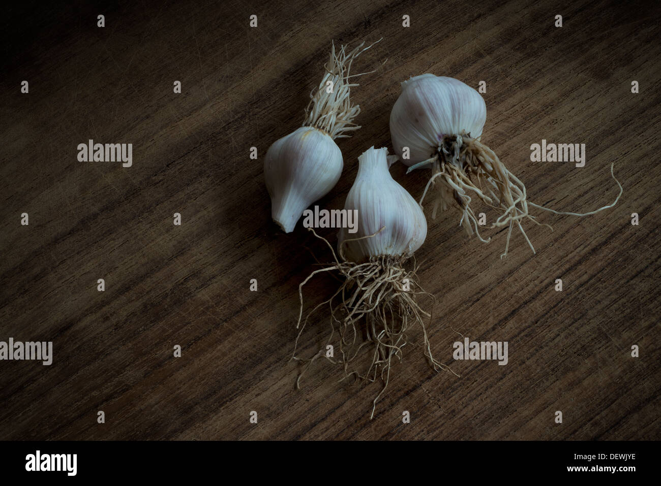 Wild garlic, cut and washed are smaller, but with more intense. sweet ...