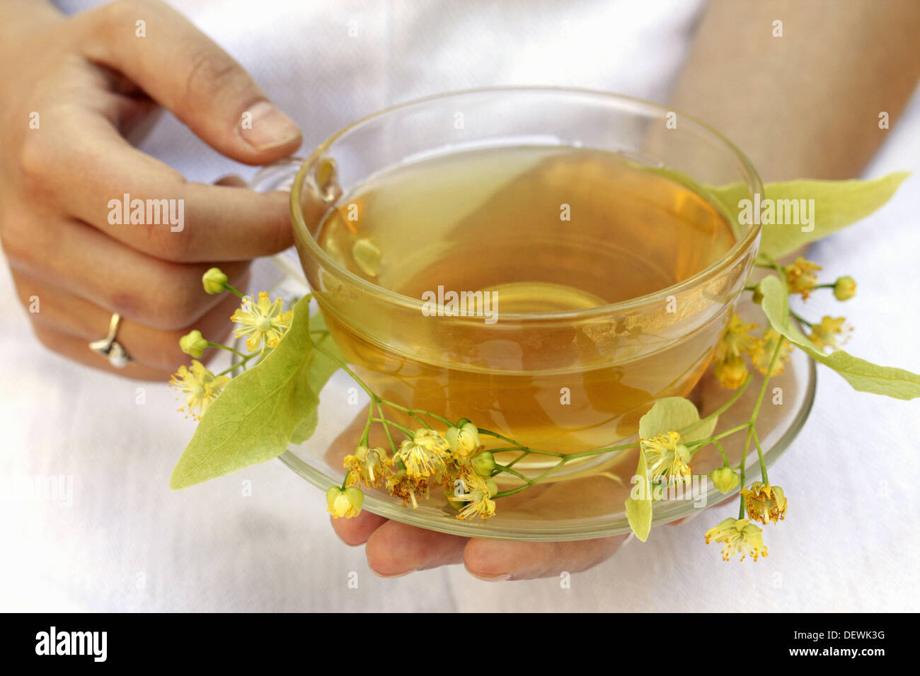 Woman plant infusion hi-res stock photography and images - Alamy