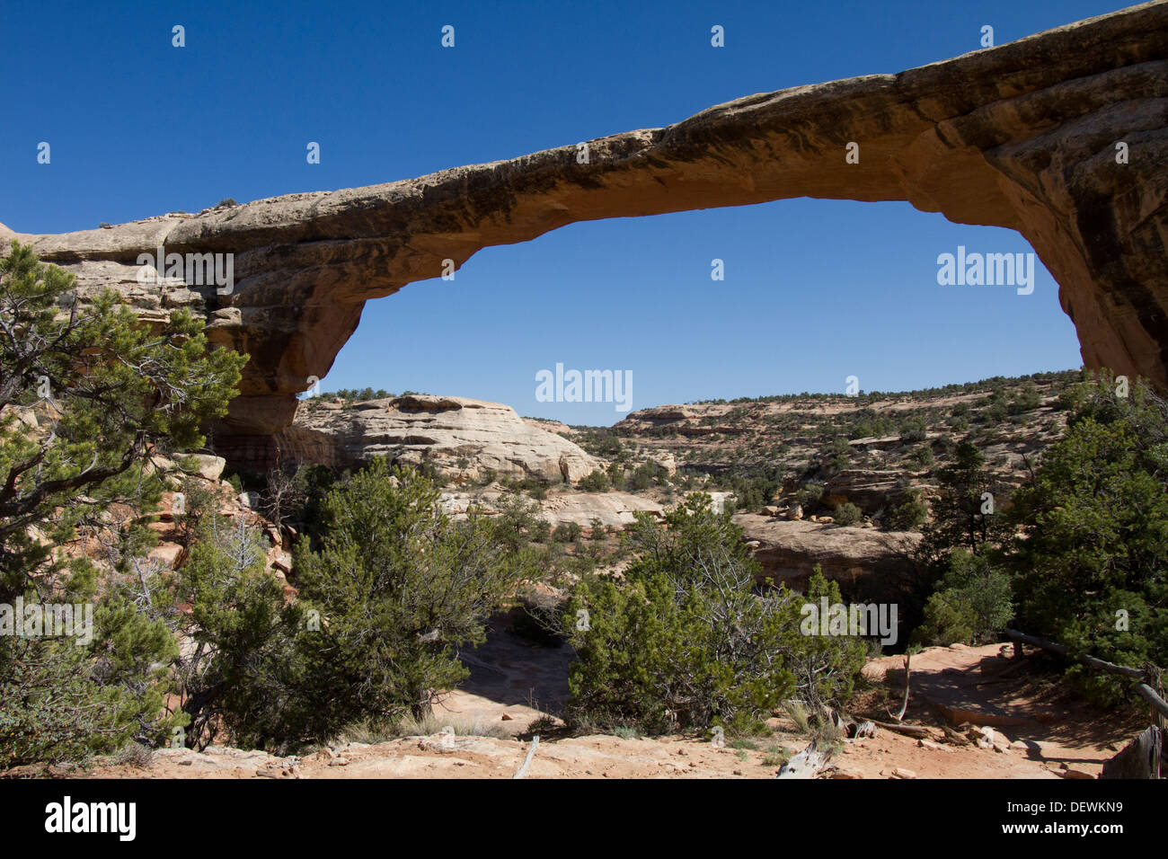 Owachomo Natural Bridge, Natural Bridges National Monument, Utah, USA ...