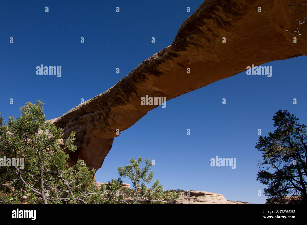 Owachomo Natural Bridge, Natural Bridges National Monument, Utah, USA ...