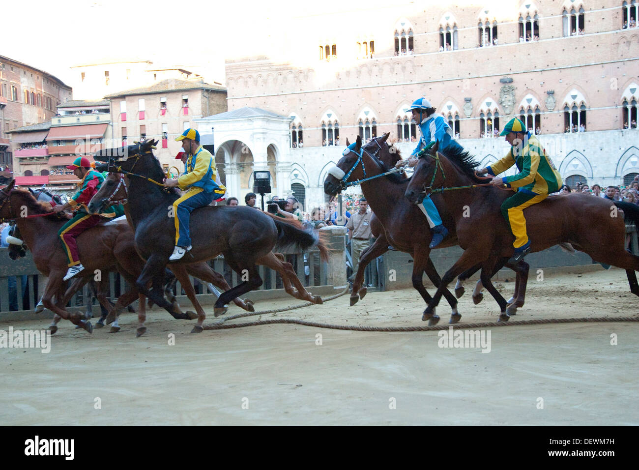 Palio horse race start hi-res stock photography and images - Alamy
