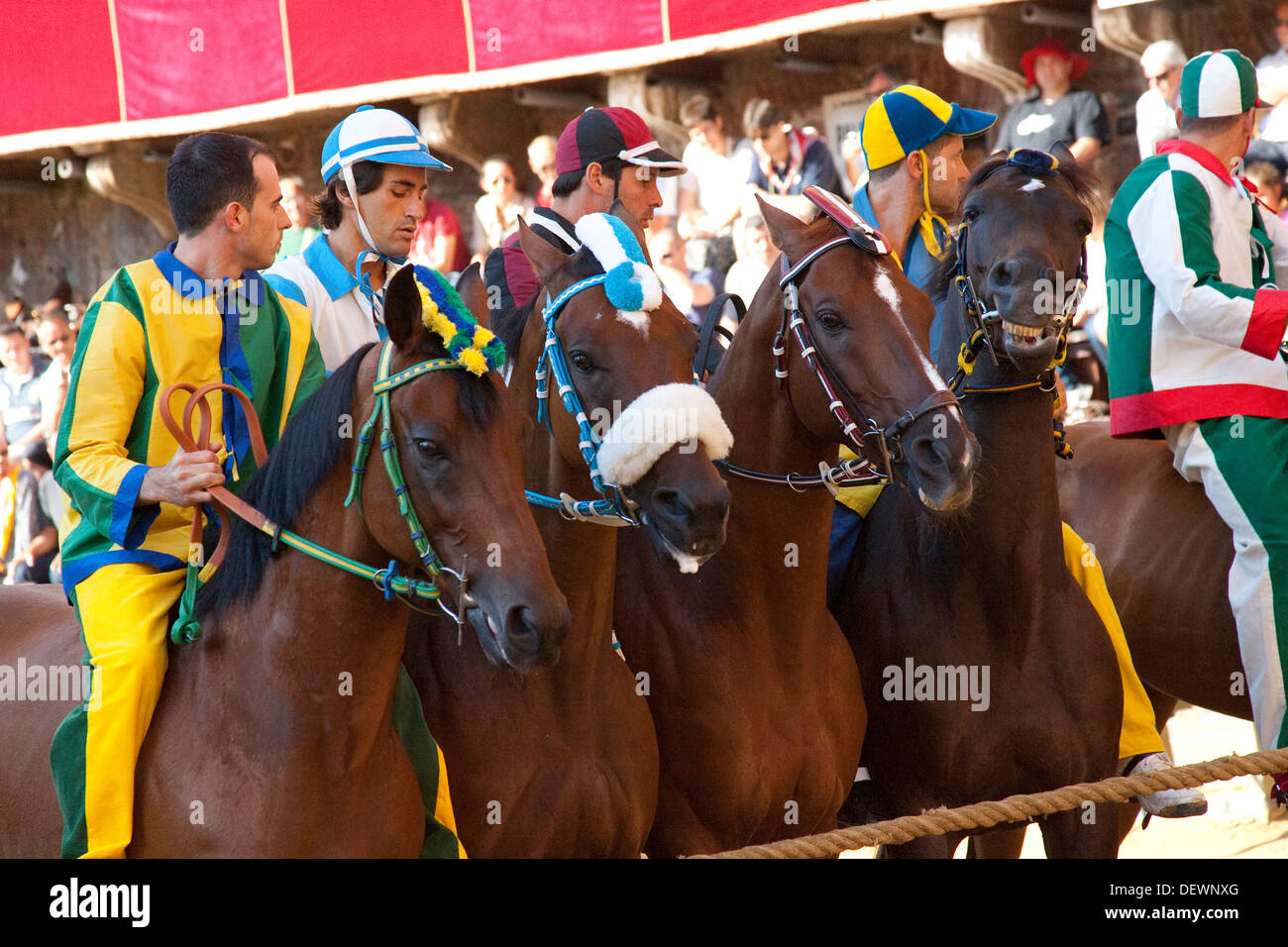 Palio horse race start hi-res stock photography and images - Alamy