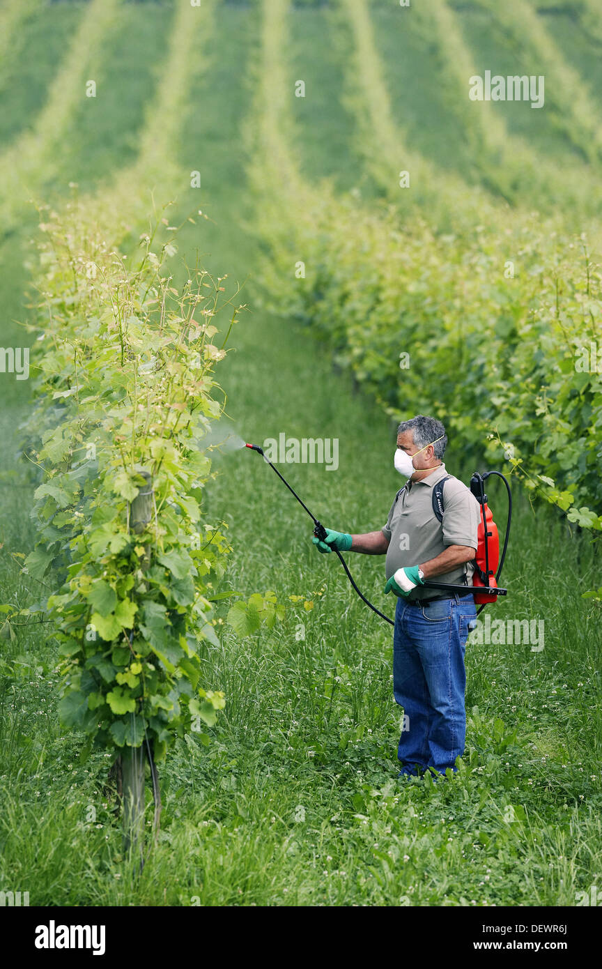 Copper sulphate and vineyard hi-res stock photography and images - Alamy