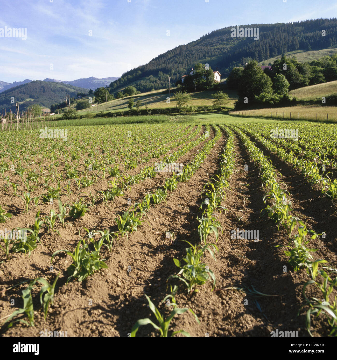 Legazpia High Resolution Stock Photography and Images - Alamy