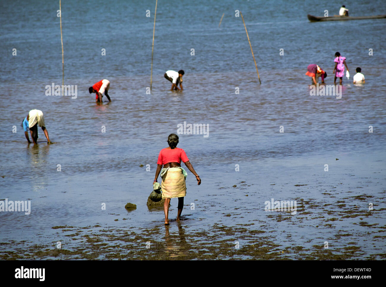 The Mandovi River is described as the lifeline of the state of Goa ...