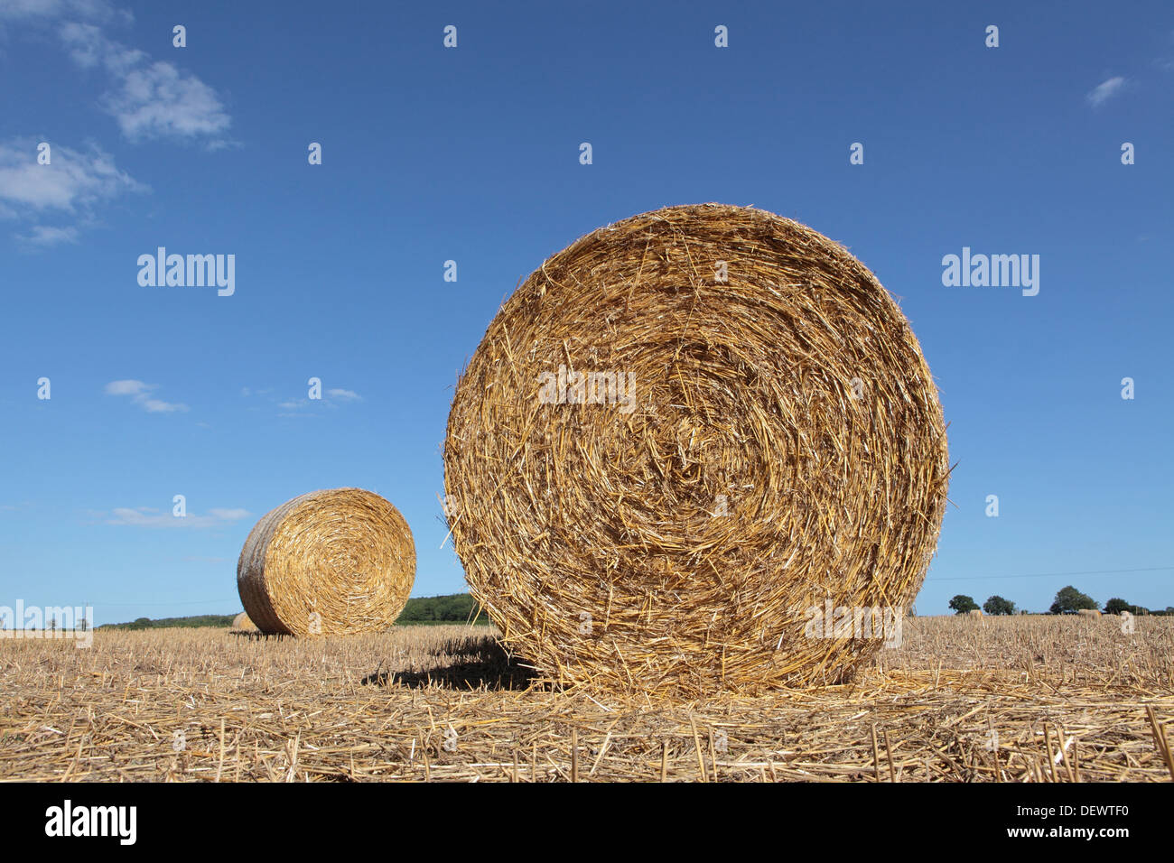 Suffolk bales hi-res stock photography and images - Alamy