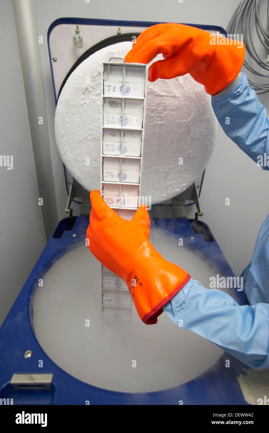 Cryogenic testing hi-res stock photography and images - Alamy