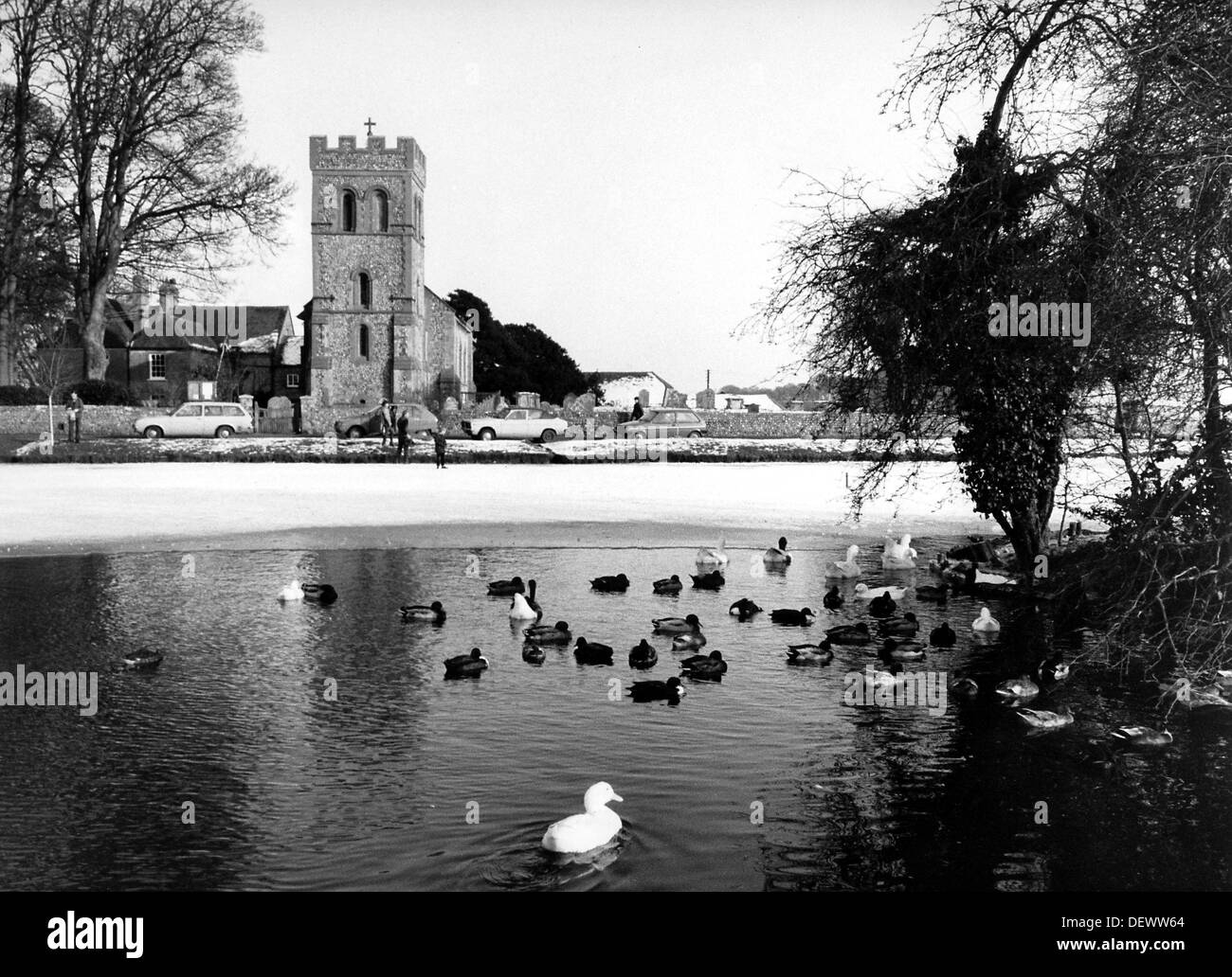 Falmer village pond Black and White Stock Photos & Images - Alamy