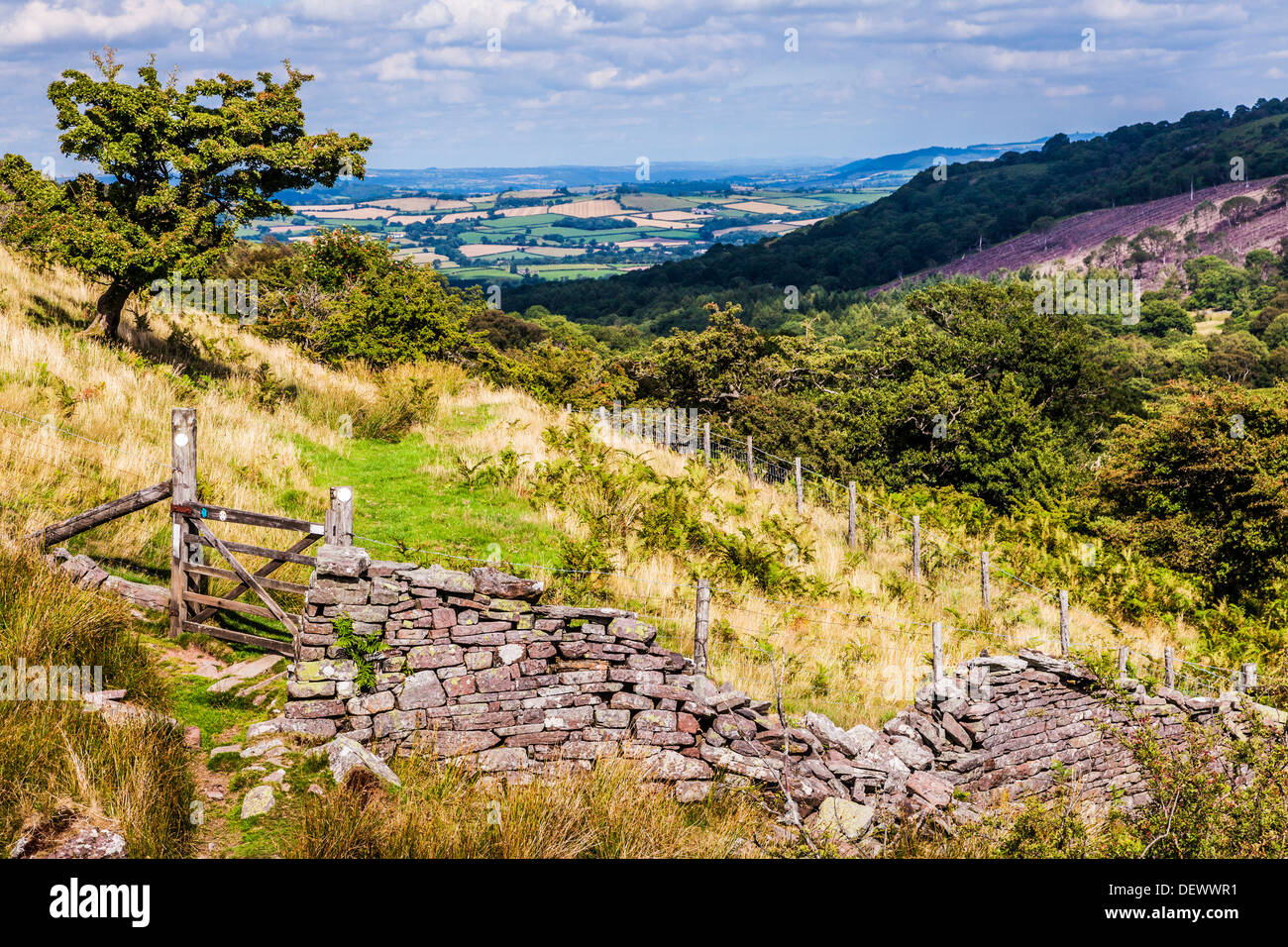 A tumbledown dry stone wall and wooden gate along a public footpath in ...